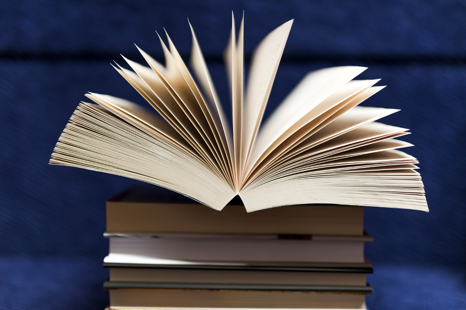 Comment rédiger une revue de littérature de qualité pour votre mémoire